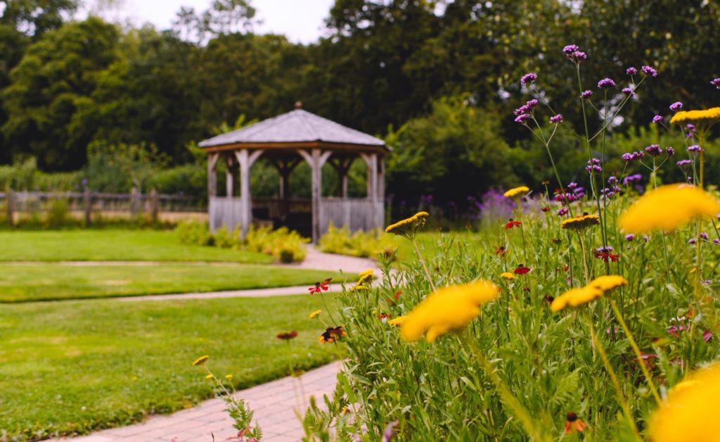 Our care - Chestnut Tree House - What does a children's hospice offer?