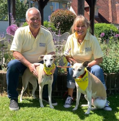 What do PAT dogs do, and why are they so important in children’s ...