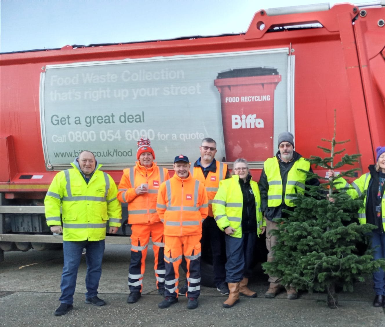 Christmas tree collection - Chestnut Tree House